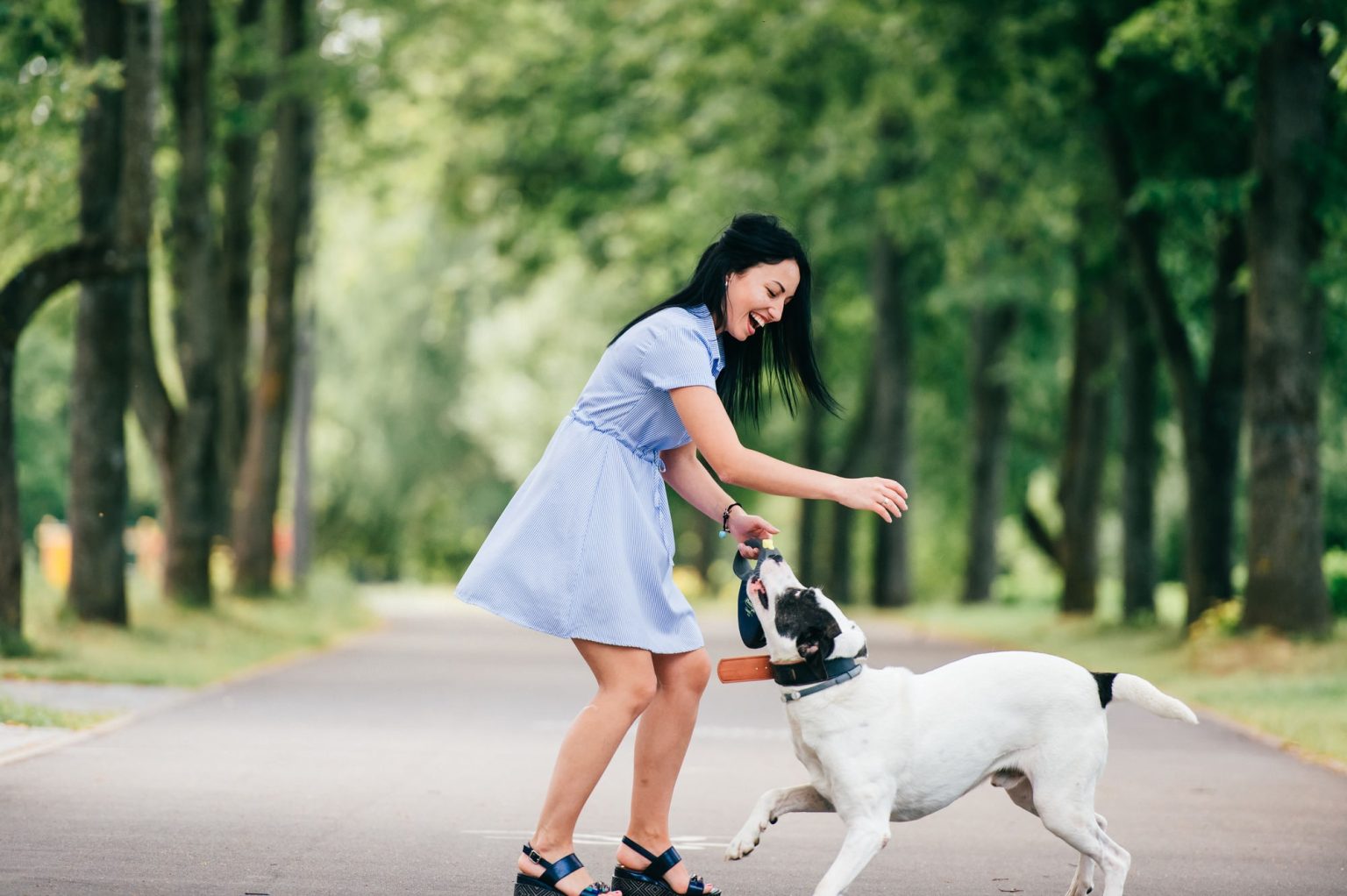 Building a Strong Foundation for Addiction Recovery Success - Nextep